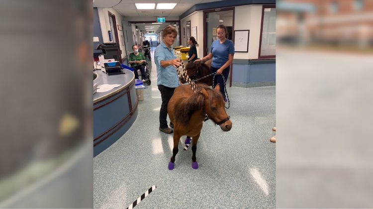 Riverview Health Centre residents and patients receive a visit from a ...